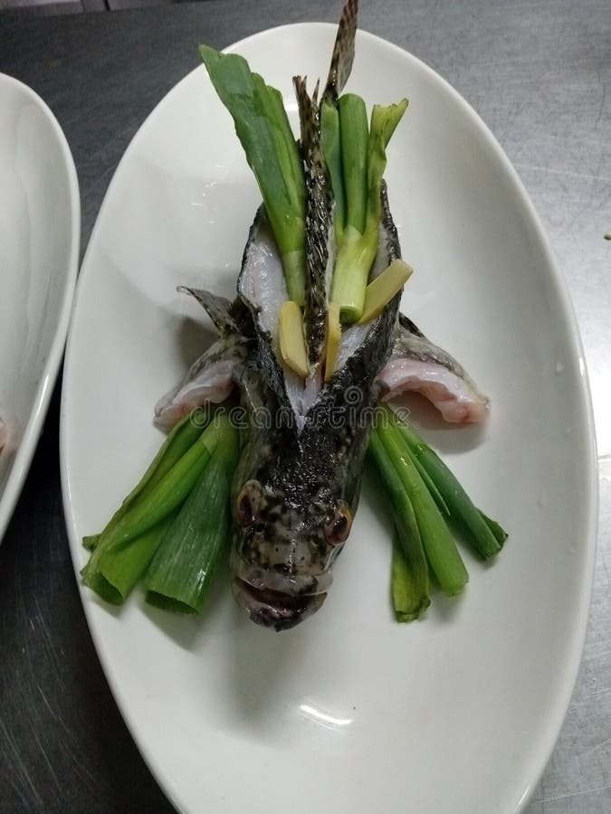 Fish ingredients food stock image. Image of fish, commis - 278036595