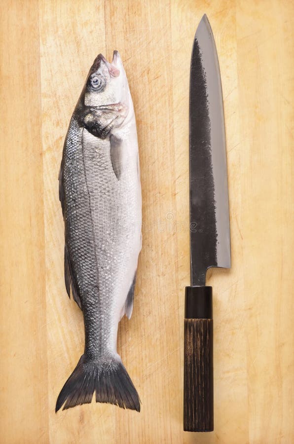 Fish with Japanese Knife stock image. Image of basses - 26963309