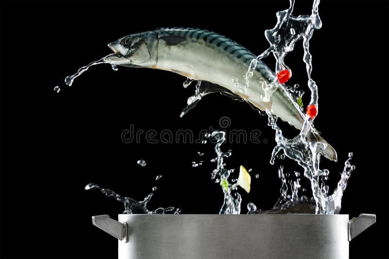 Fish jumping out of pat stock photo. Image of challenge - 18892952