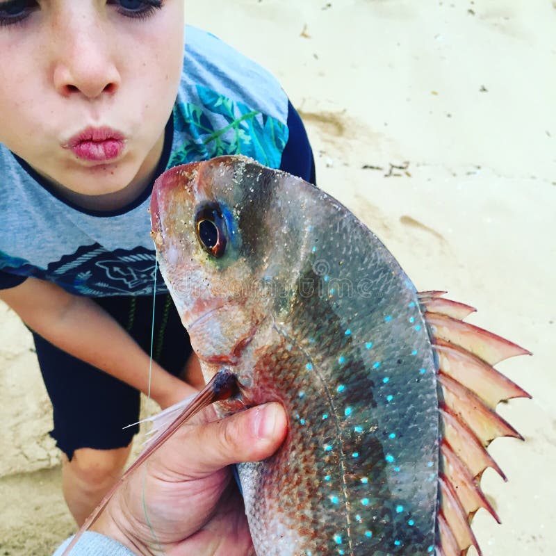 Caught Kissing Photos - Free & Royalty-Free Stock Photos from Dreamstime