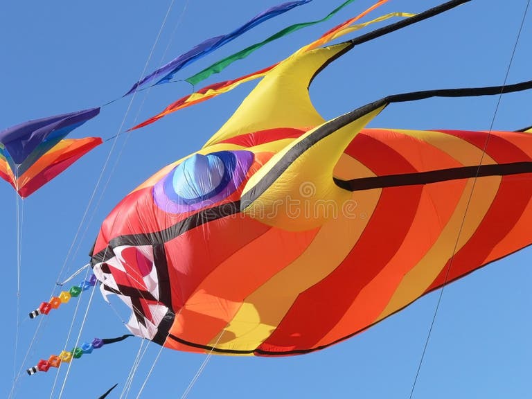 Fish Kite stock photo. Image of love, play, active, object - 184650