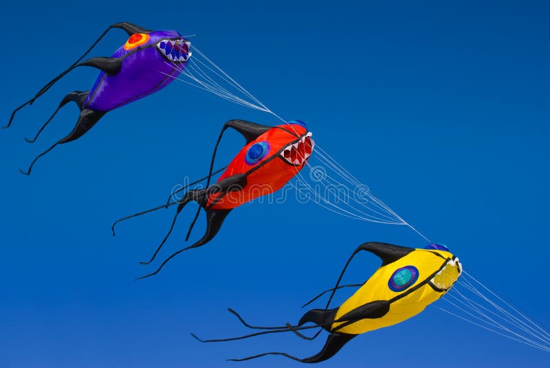Fish Kites stock image. Image of kite, rainbow, people - 5413863