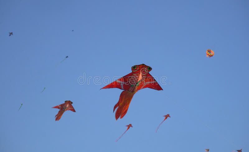Fish Kites are Flying in the Sky Stock Photo - Image of event, child ...