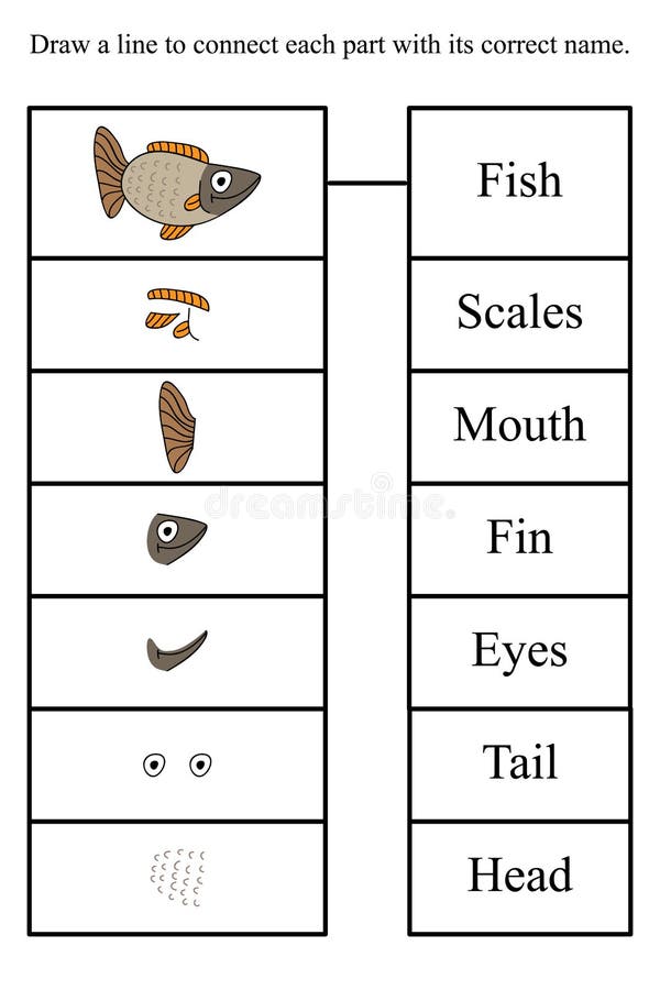 Fish know game stock vector. Illustration of fauna, cartoons - 50705127