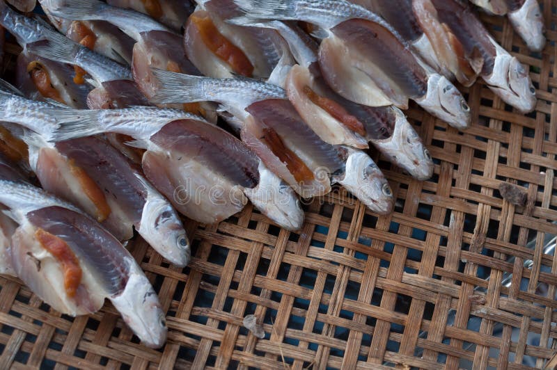 Fish in kradang stock photo. Image of group, fish, pattern - 32363288