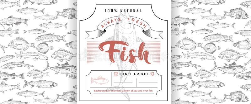 Fish Label with Seamless Pattern Stock Illustration - Illustration of ...