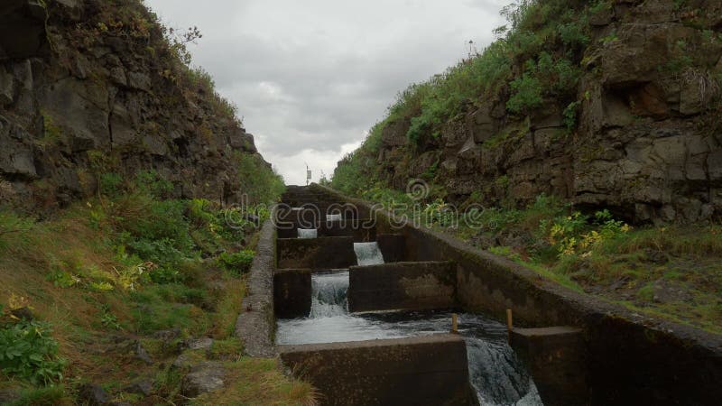 Fish ladder stock video. Video of iceland, pass, conservation - 266222919