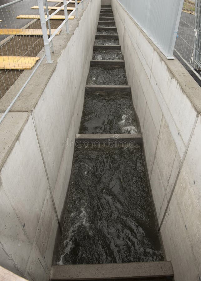 Fish ladder or fish pass stock photo. Image of humid - 259791758