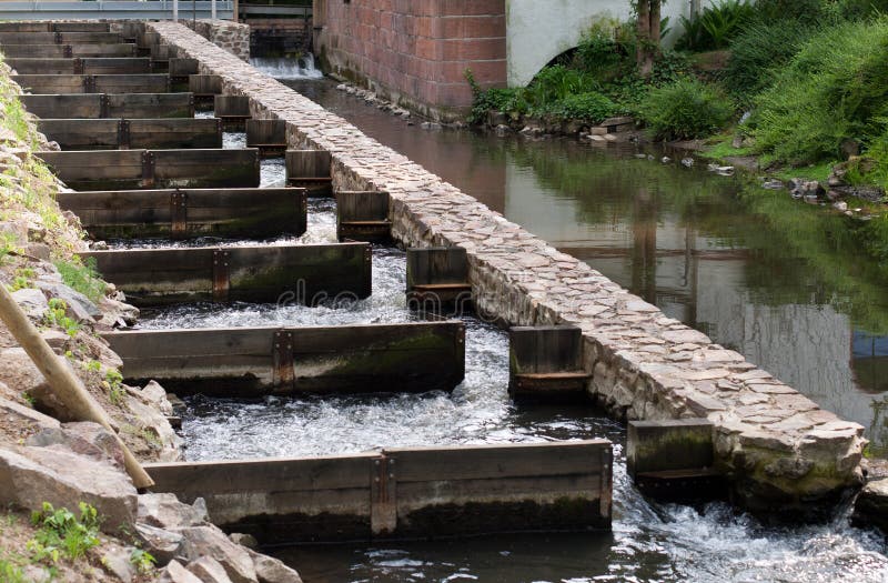 Fish ladder stock image. Image of grass, river, passage - 40339939