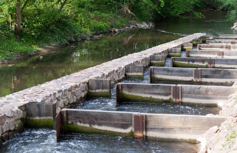 Fish Ladder for Migration of Spawning Fish in River Stream Stock Image ...