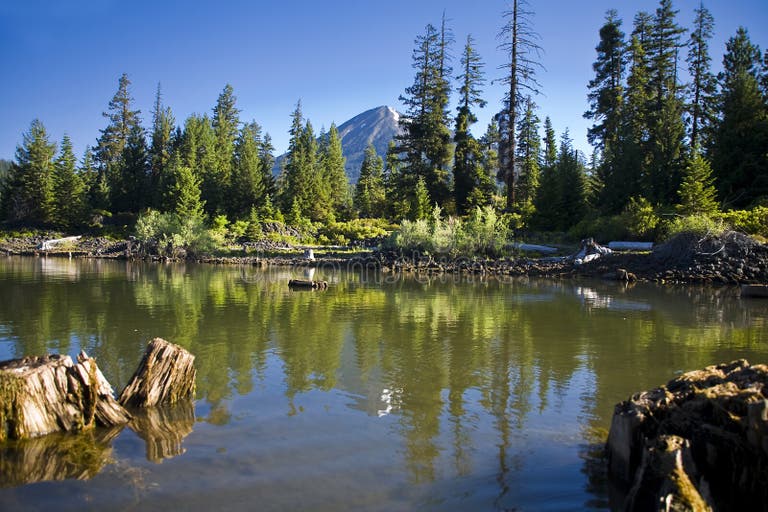 214,926 Fish Lake Concessionaire Stock Photos - Free & Royalty-Free ...