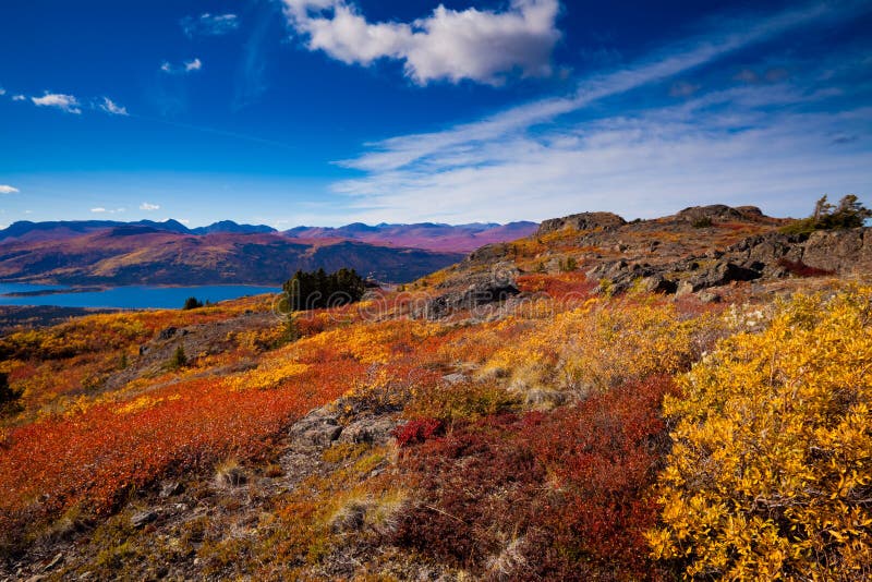 Fish Lake, Yukon Territory, Canada Stock Image - Image of color, gold ...