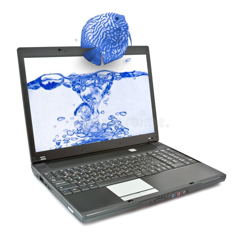 Fish and laptop. stock photo. Image of humor, monitor - 17476906