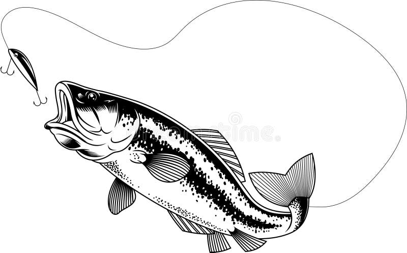 Outlined Largemouth Bass Fish Catching the Fishing Lure Graphic Design ...
