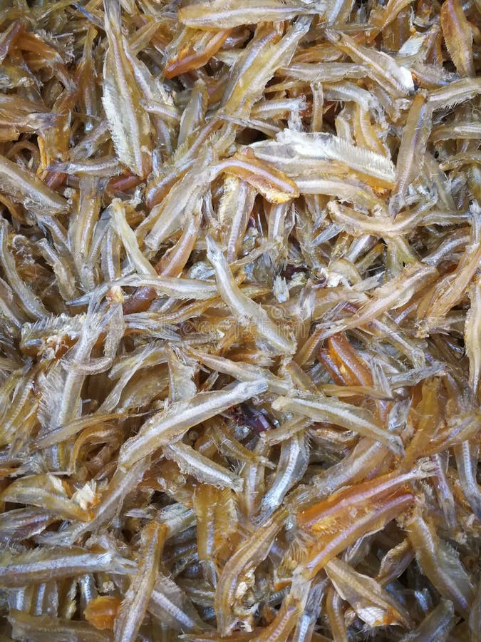 Fish larvae stock image. Image of chinese, delicious - 123300317