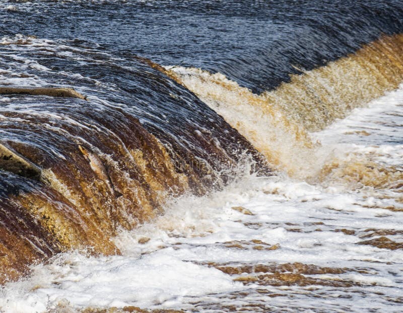 Fish Leaping on the River Tyne at Hexham, Northumberland, UK Stock ...