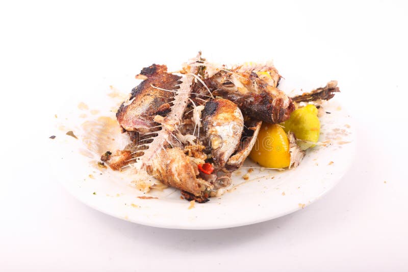 Leftovers stock image. Image of lunch, lost, lifestyle - 39509229