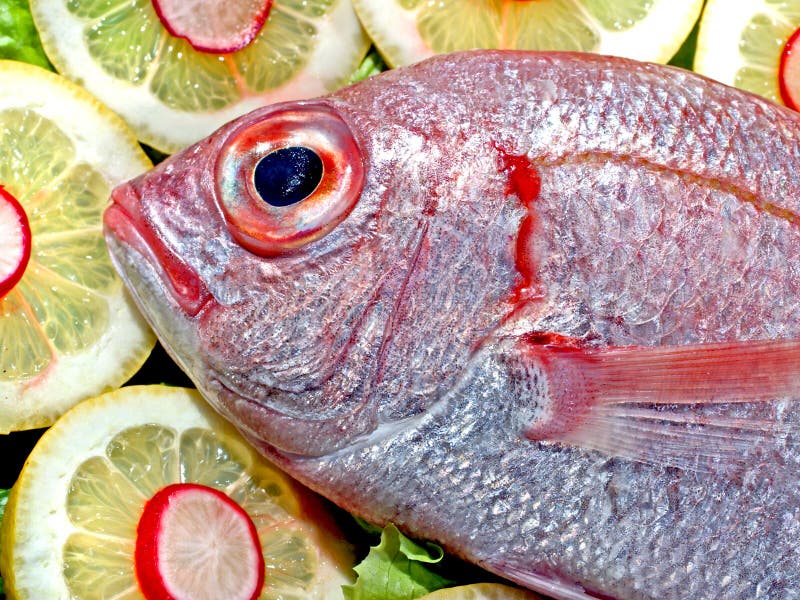 Fish with lemon stock image. Image of seafood, citrus - 27455567