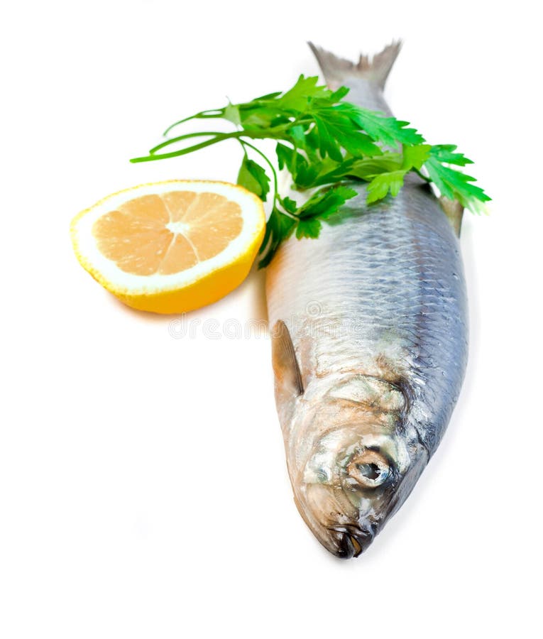 Fish with lemon stock image. Image of fish, healthy, body - 76236529