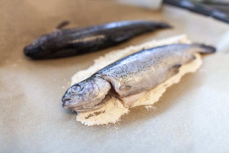 Fish Lies on a Baking Paper in a Kitchen Stock Image - Image of fresh ...