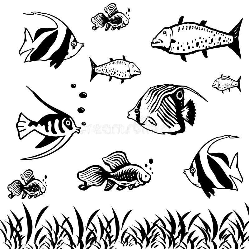 Fish and Seafood stock vector. Illustration of marines - 2780438