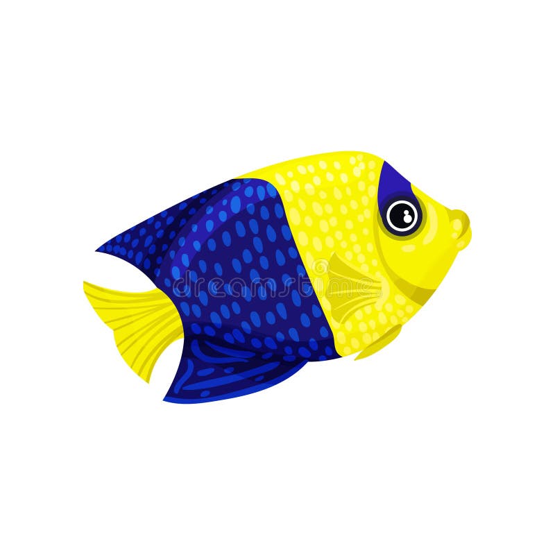 Half Underwater Fish Stock Illustrations – 261 Half Underwater Fish ...