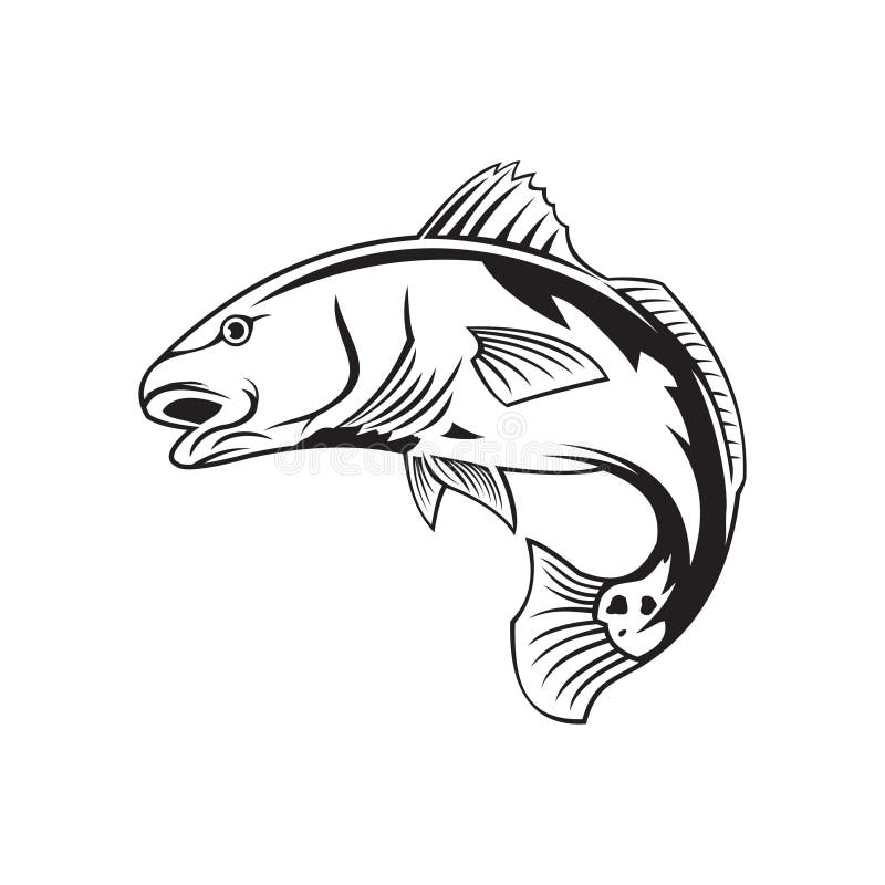Snapper Outline Stock Illustrations – 52 Snapper Outline Stock ...
