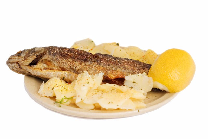 Fish Lunch stock image. Image of gourmet, lemon, salad - 3054033