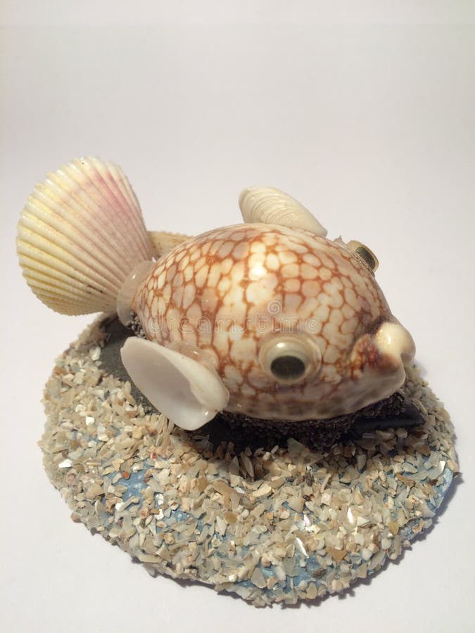 Fish made of sea shells stock photo. Image of shell, decor - 52504740