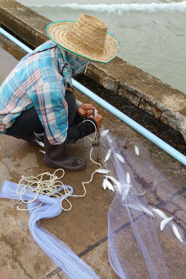 Fish. Man stock photo. Image of seaside, bridge, fishman - 73202262