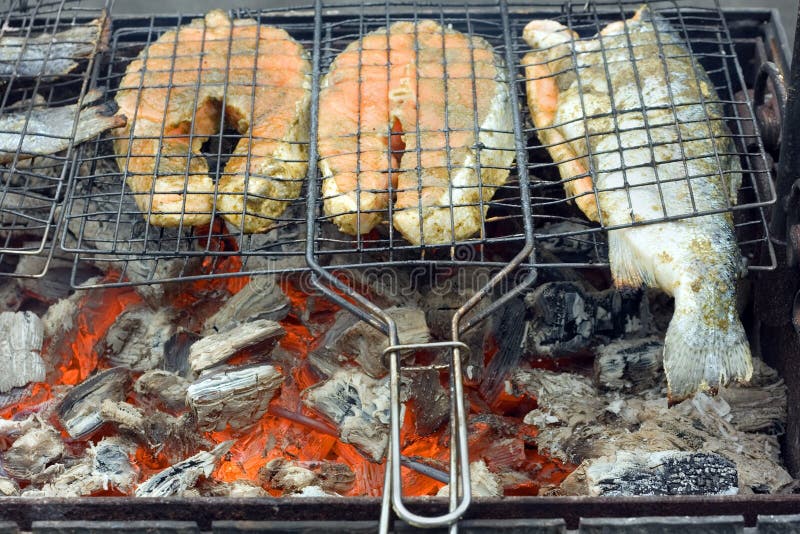 Fish on a mangal stock photo. Image of cook, leisure - 67614108