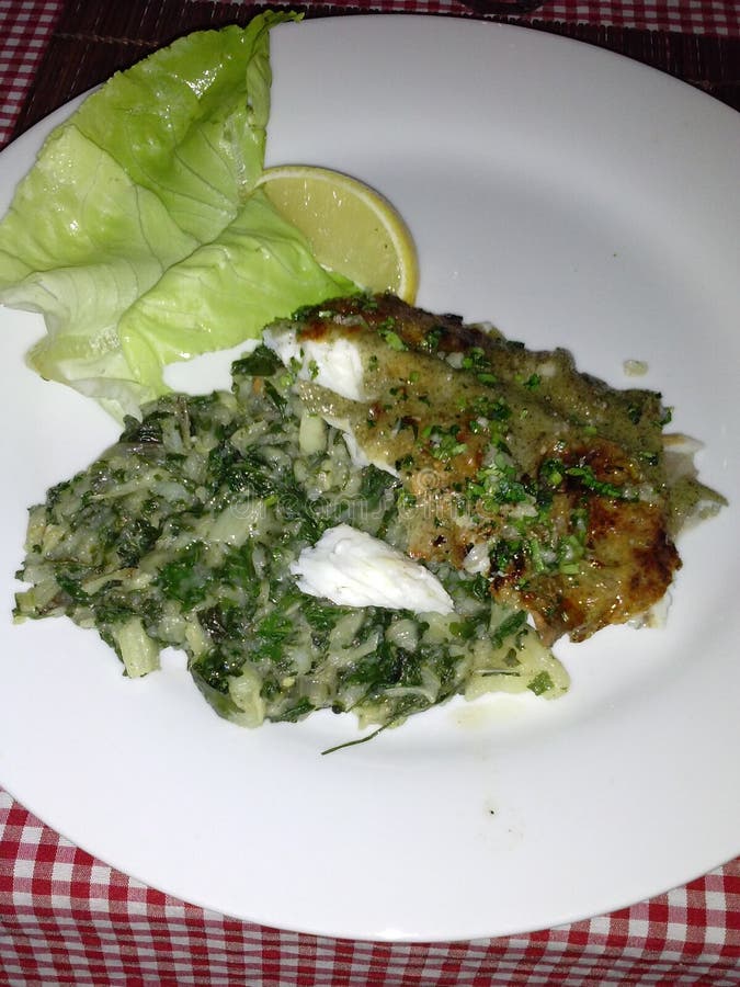 Fish stock image. Image of light, summer, dinner, rumbac - 43453041