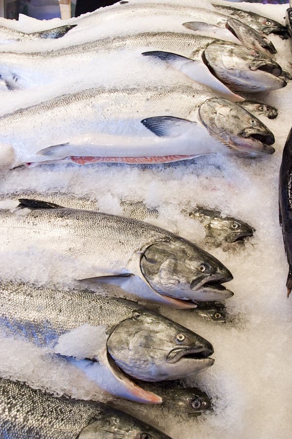 Fish market stock image. Image of trout, seafood, ocean - 1184279