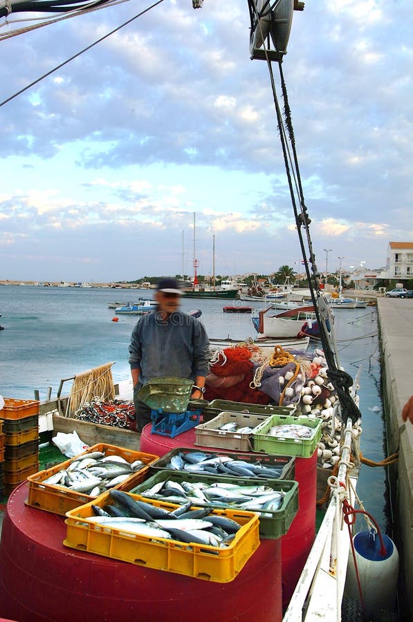 Fish market stock photo. Image of fish, mackerel, protein - 1458242