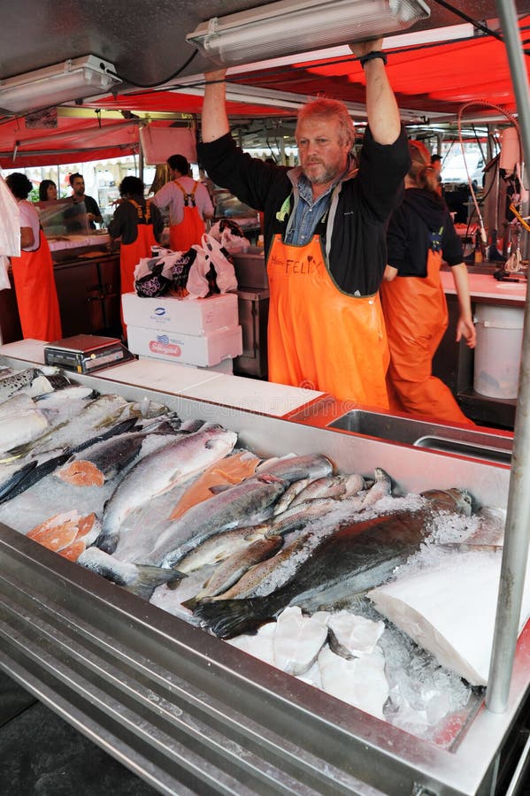 Fish at market stock photo. Image of marketing, display - 20038712