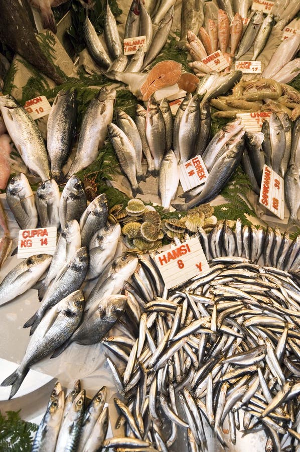 Fish Market stock image. Image of stall, price, kiosk - 11812169