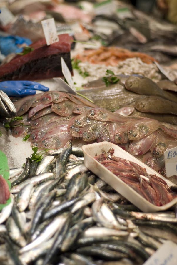 Fish market stock photo. Image of spain, sale, fresh, lobster - 2144340