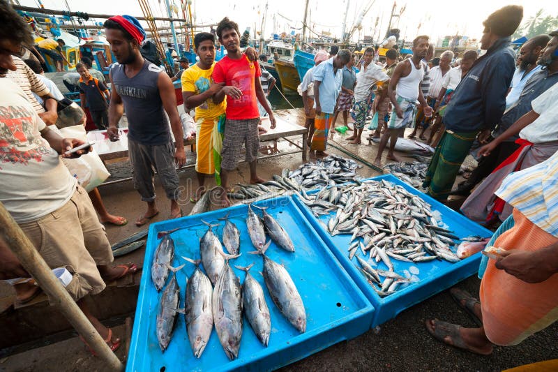 Fish market editorial image. Image of traditional, selling - 24730515