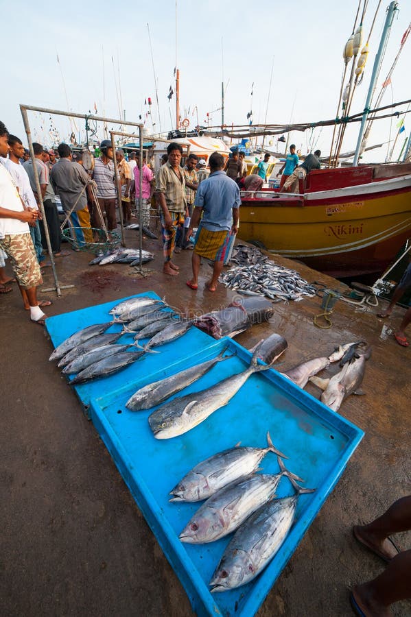 Fish market editorial photography. Image of purchasing - 24730517