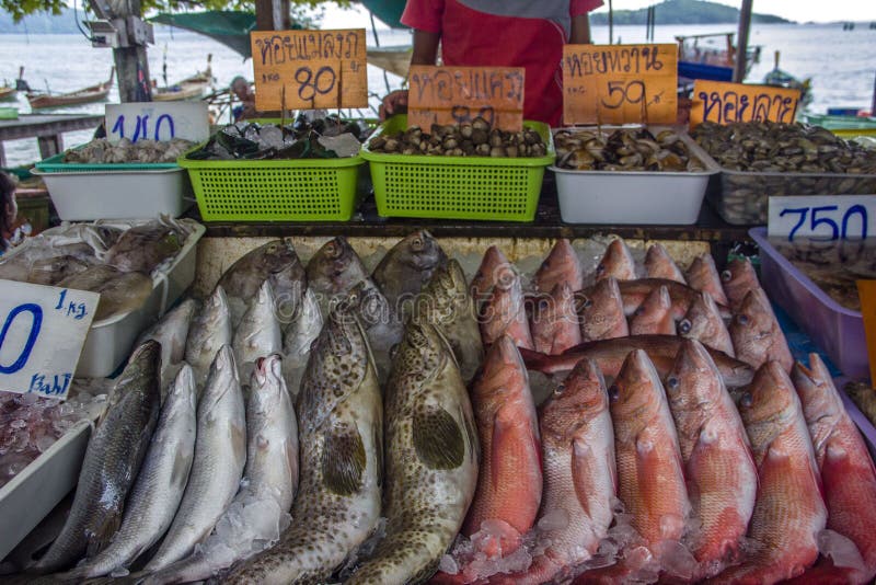 Fish market stock photo. Image of cuisine, color, fishing - 29216572