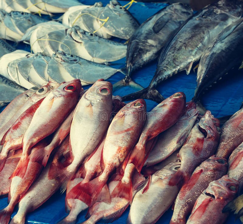 Fish market stock photo. Image of natural, meat, fish - 54169248