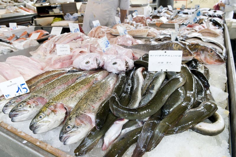 Fish Market stock image. Image of stall, price, kiosk - 11812169