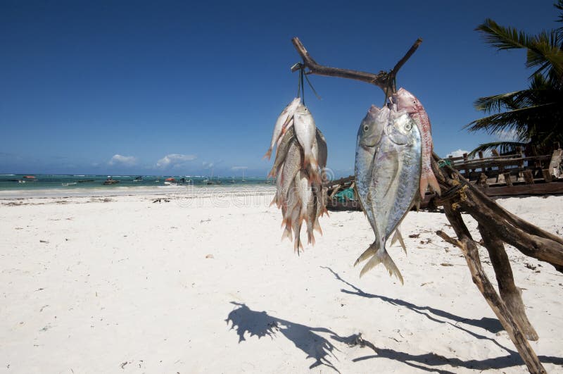 Fish market on the beach stock photo. Image of work - 126343346