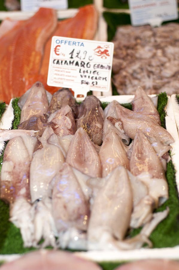 Fish market stock image. Image of market, bench, composition - 61656279