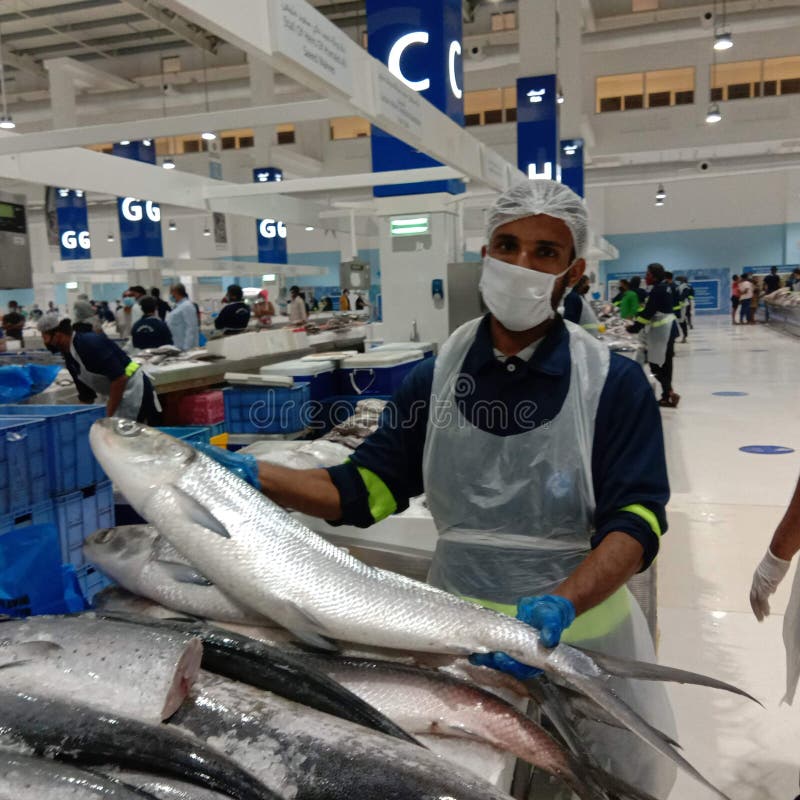 Fish Market Deira Dubai UAE Editorial Stock Photo - Image of vehicle ...