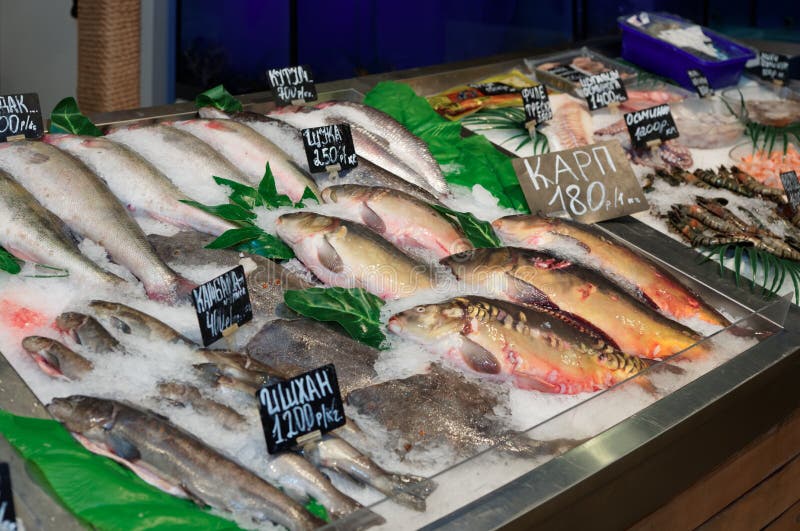 Fish on market display stock image. Image of healthy - 40283769