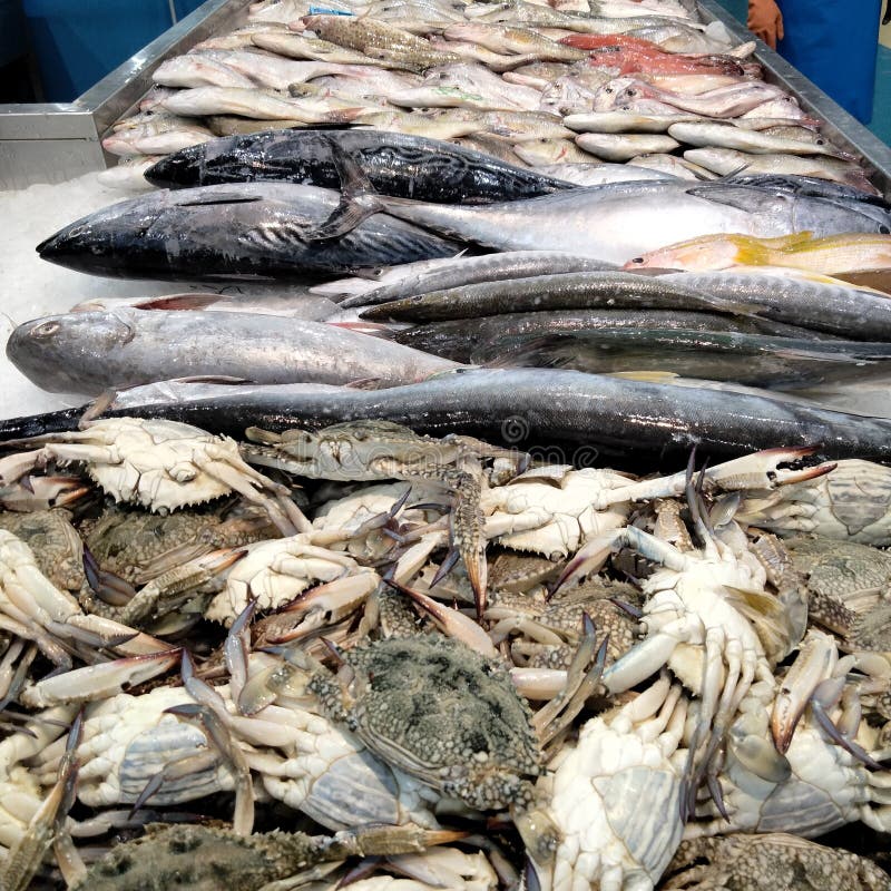 Fish Market in Doha stock photo. Image of east, crustaceans - 361626040