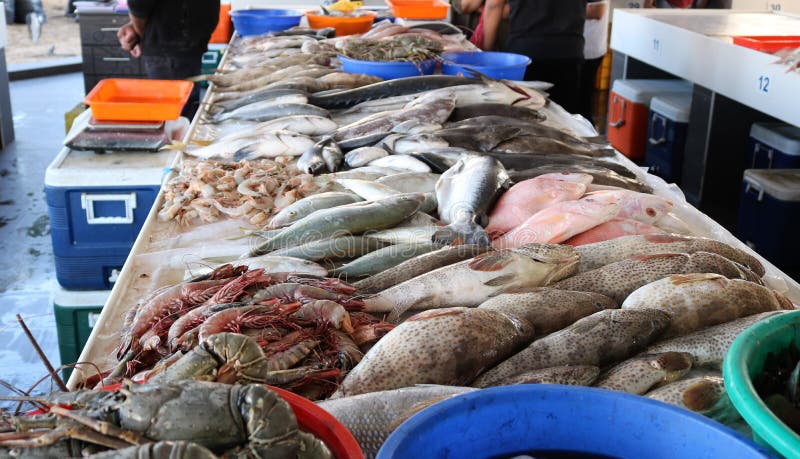 Different Types of Seafood in the Fish Market in Dubai. Stock Photo ...