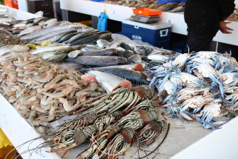 Different Types of Seafood in the Fish Market in Dubai. Stock Photo ...