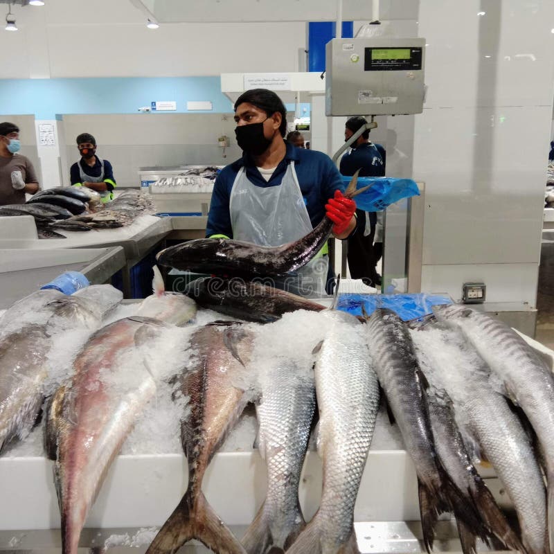 Fish market in dubai UAE editorial stock image. Image of fish - 249383959